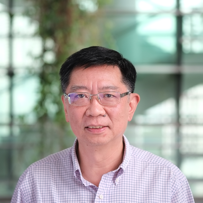 Prof. Wentong Cai